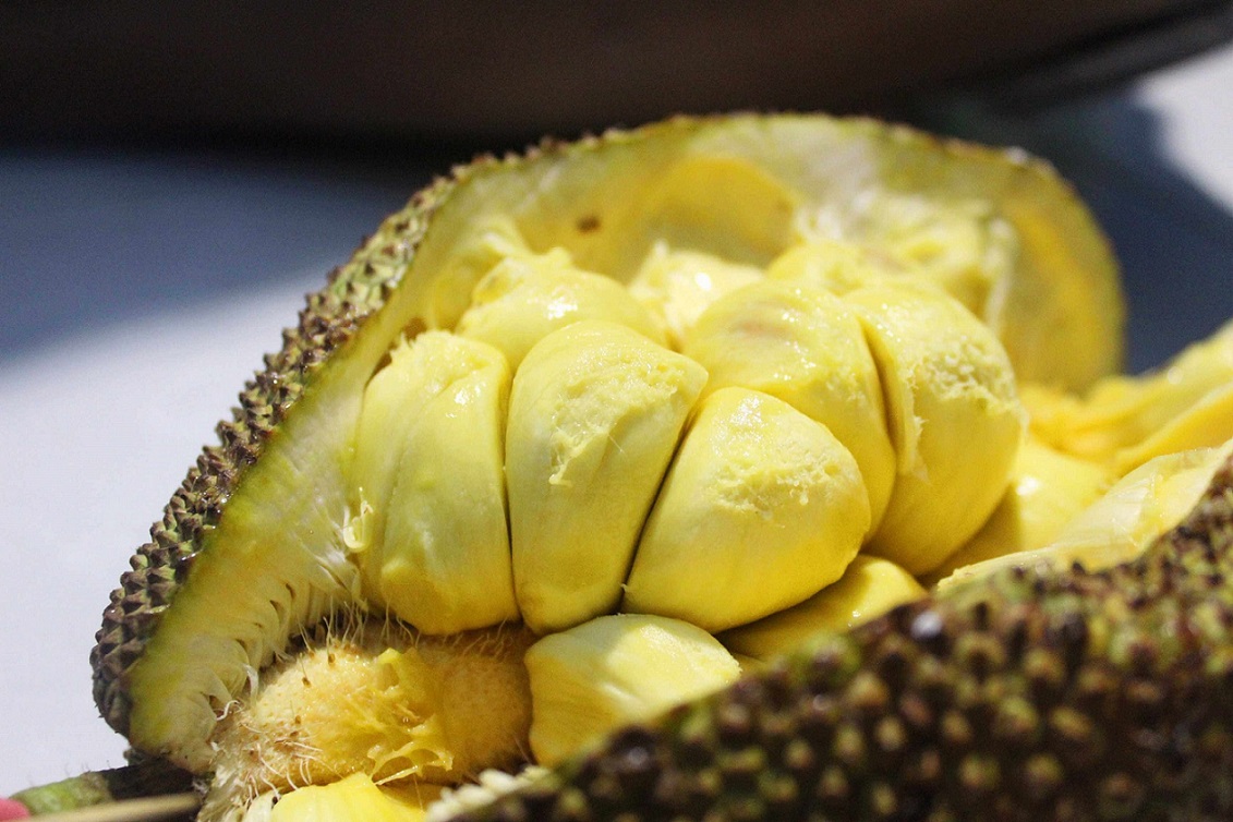 Manfaat Buah Bagi Tubuh Manusia Manfaat Buah Cempedak - vrogue.co Manfaat Buah Bagi Tubuh Manusia Manfaat Buah Cempedak - vrogue.co